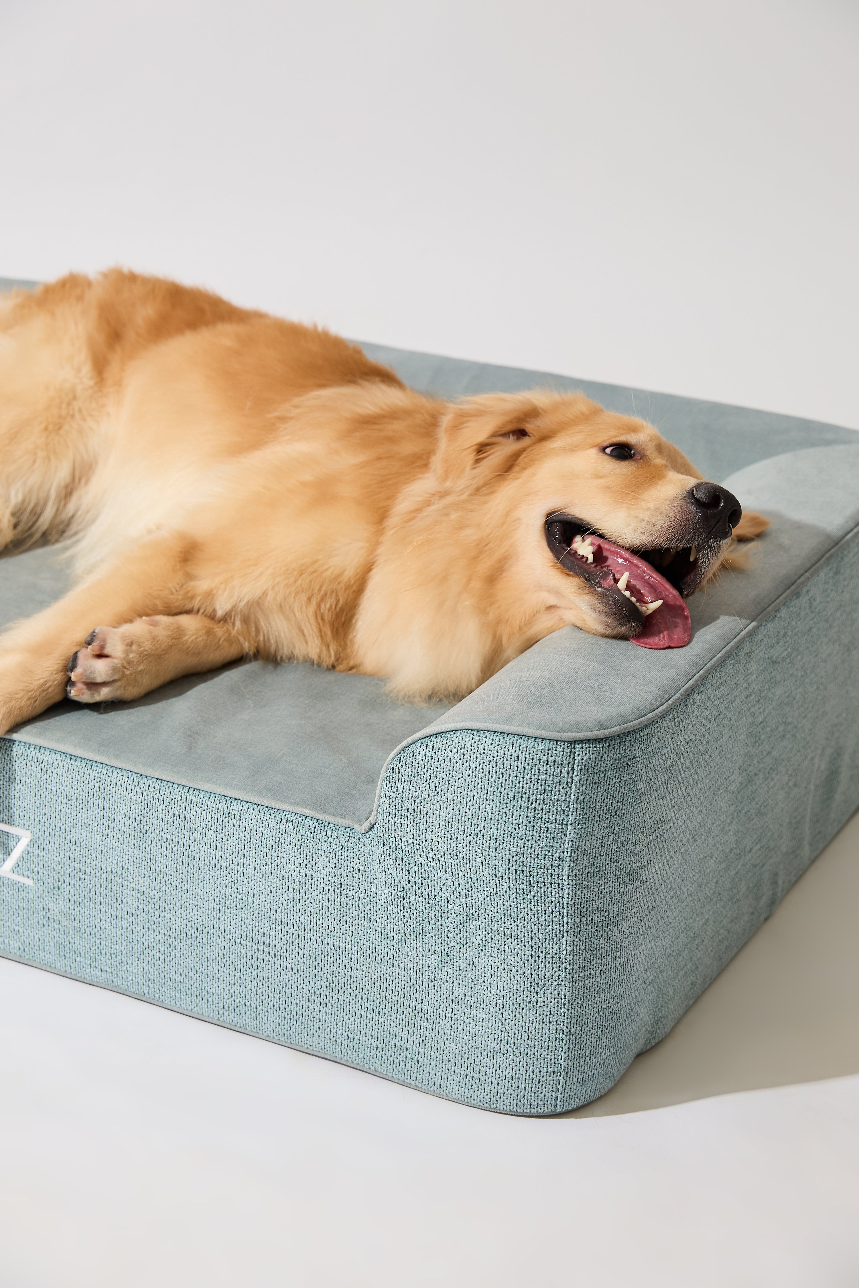 ZNOOZ Orthopedic Dog Beds – Comfort & Joint Support for Big Dogs